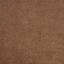 Outback - Mushroom | Burch